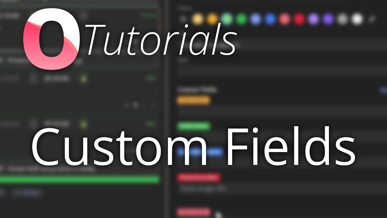 Ontime Tutorials: Custom Fields