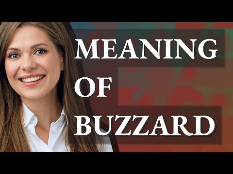 Buzzard | meaning of Buzzard
