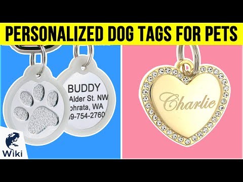 10 Best Personalized Dog Tags For Pets 2019