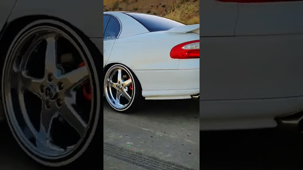 custom vt commodore (my daily driver)