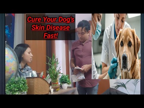 Cure Your Dog's Skin Disease Fast!#@mylifesvlogsdrpriyanka #ytshort #viral #trending