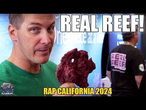 Real Reef ARCHES & Shelf Rock for Aquascaping - Reefapalooza California 2024