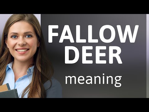 Fallow deer • meaning of FALLOW DEER