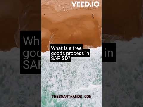 #33 What is a free goods process in SAP SD?