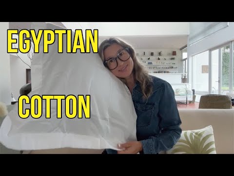 Euro Pillow Sham Covers - European Size 26 x 26, Set of 2 |100% Long Staple Egyptian Cotton The Best