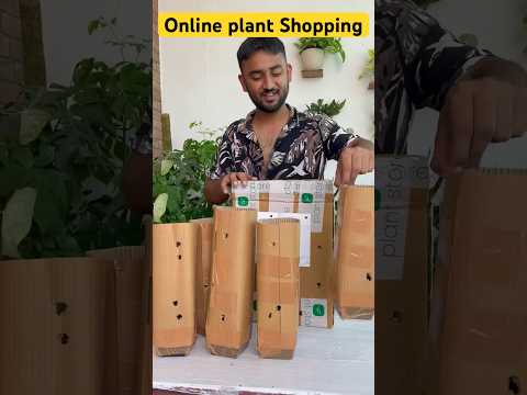 Online पौधों की Shopping 🛍️ #gardeningwithnanav #plantshopping #onlineplants