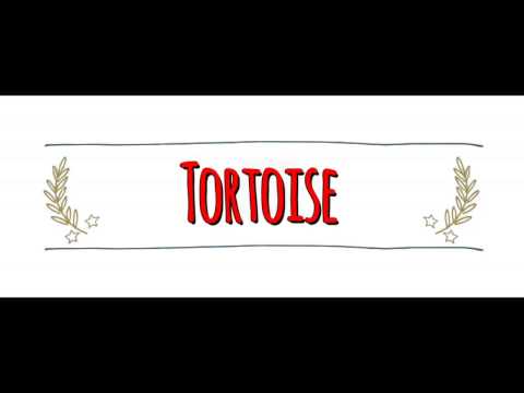 American vs Australian Accent: How to Pronounce TORTOISE in an Australian or American Accent