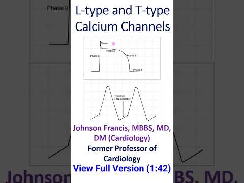 L-type and T-type Calcium Channels