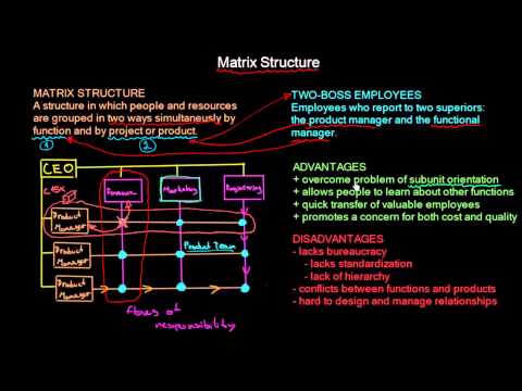 Matrix Organisational Structure | Organisational Design | MeanThat