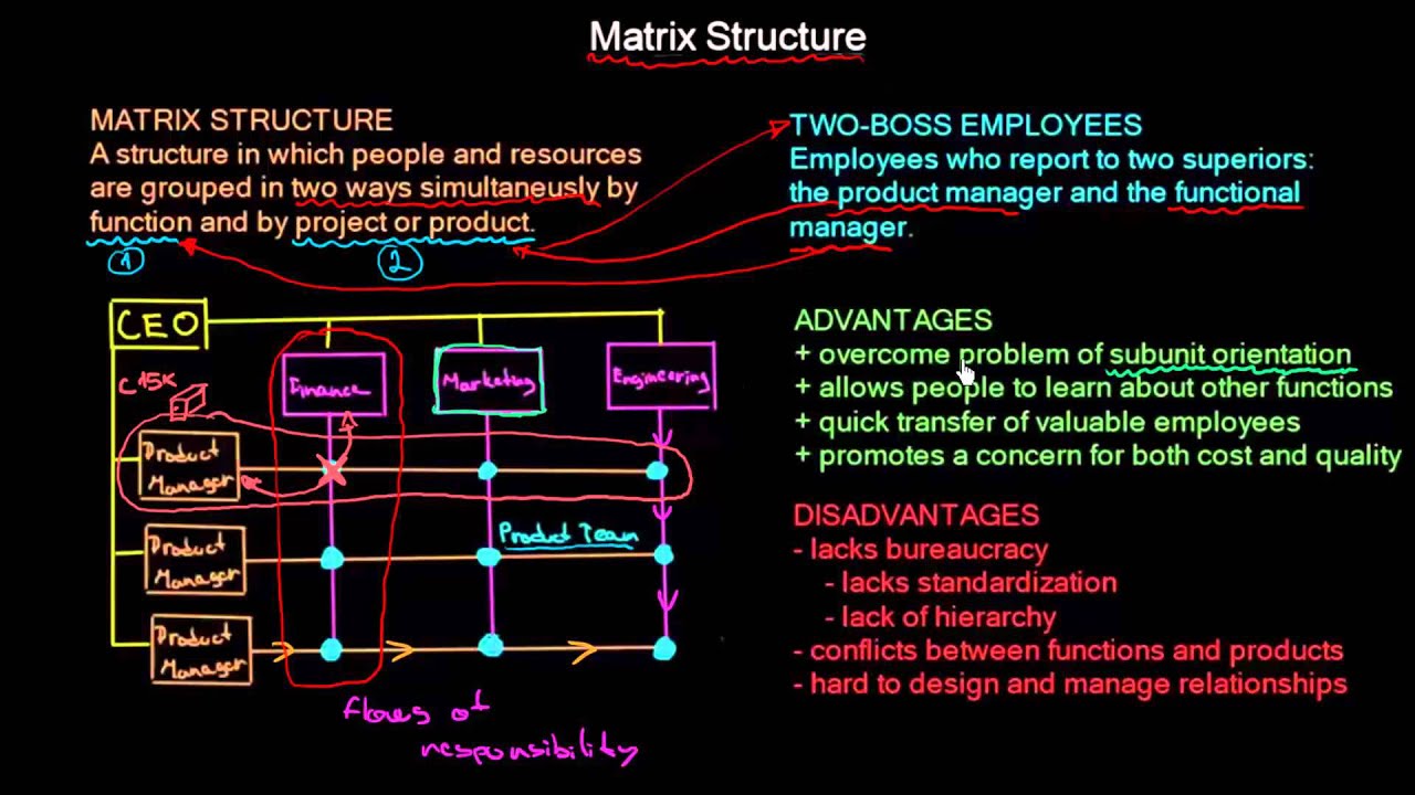 Matrix Organisational Structure | Organisational Design | MeanThat