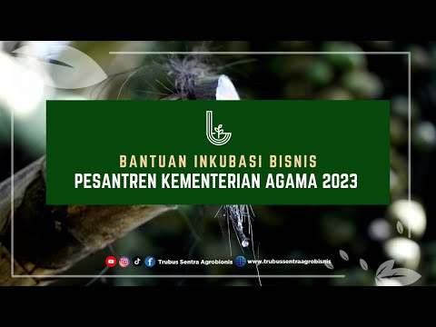 Bantuan Inkubasi Bisnis Pesantren Kementerian Agama 2023 Pondok Pesantren Trubus Iman