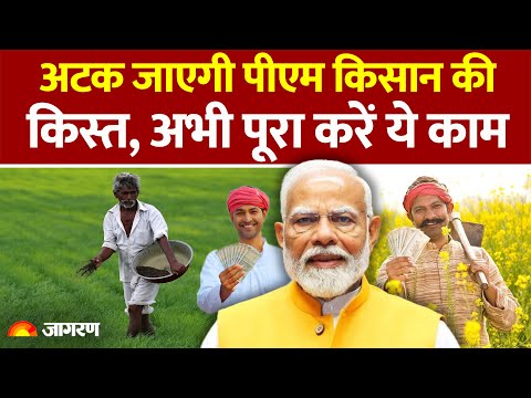PM Kisan Nidhi Yojana 20th Installment: कब आएगी पीएम किसान की किस्त? अभी पूरा करें ये काम