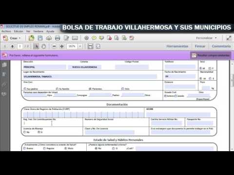 FORMATO SOLICITUD DE EMPLEO PDF
