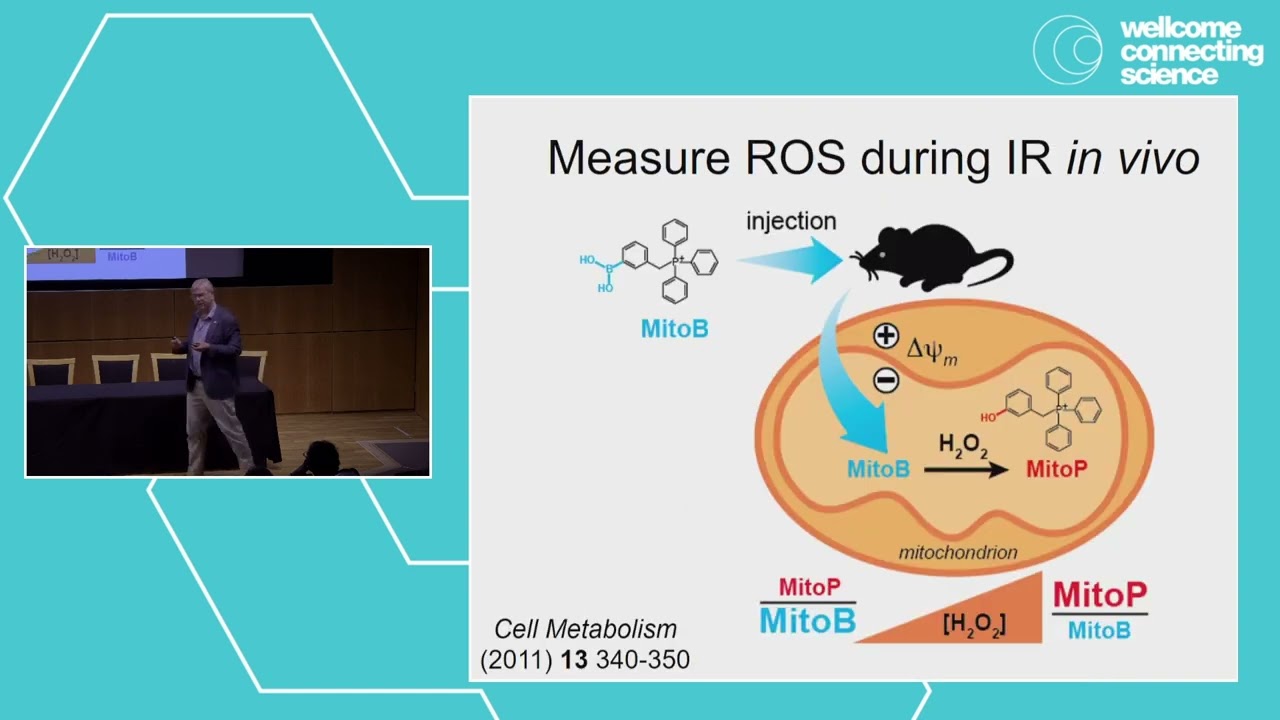 Mitochondrial Medicine - Therapeutic Development | Keynote speaker: Mike Murphy