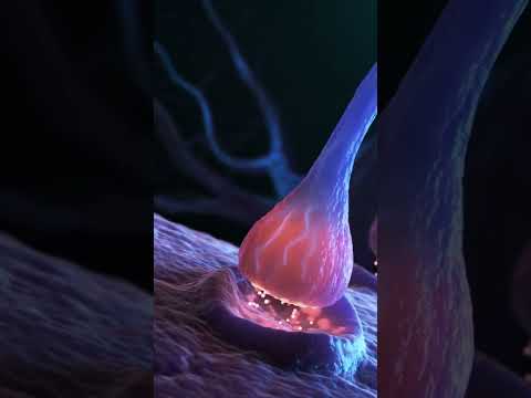 Synapse and neuron cells sending electrical chemical signals.#cell #wisdomnursing #wisdomnursing