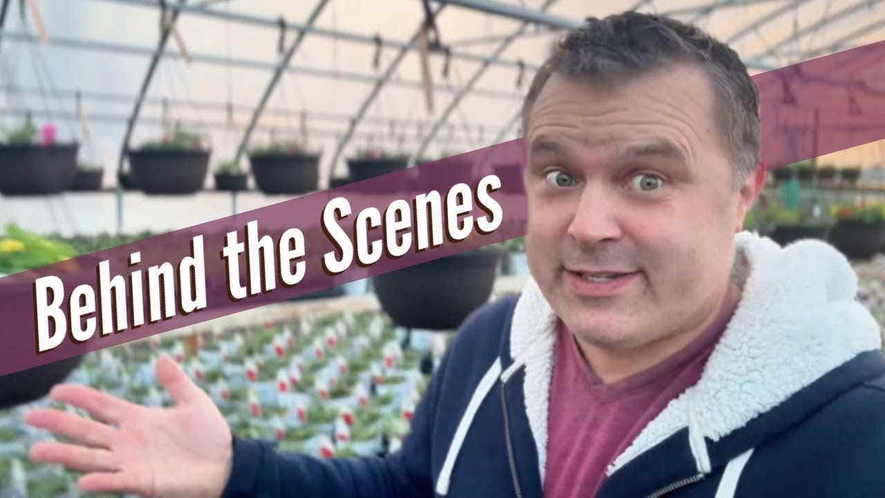 Behind the Scenes of Our Plant Presales