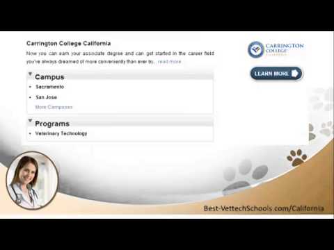 Top Veterinary Technician Schools in California | CA Vet Tech Programs