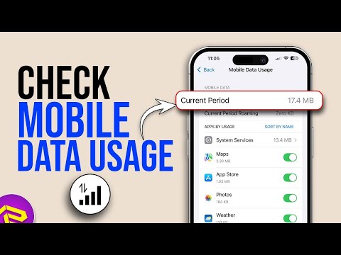 How to Check Cellular Data Usage on iPhone?