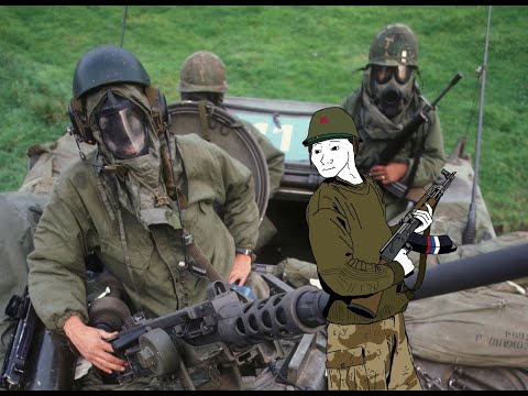 NATO's World War 3 Stay Behind Armies #history #coldwar #europe #military #nato