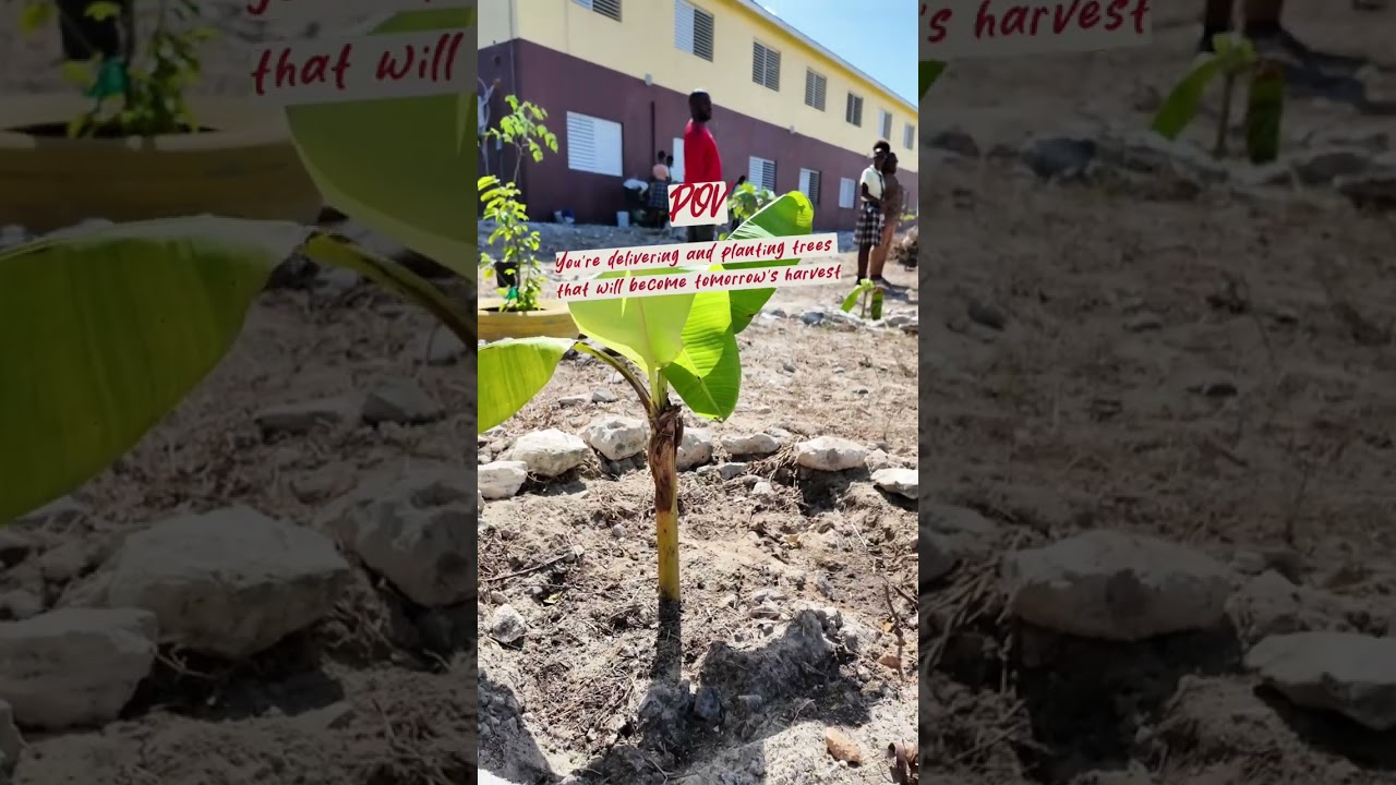 Planting trees isn’t just landscaping, it’s building a living legacy 🌱