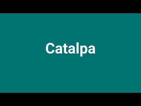 'Catalpa' Meaning and Pronunciation