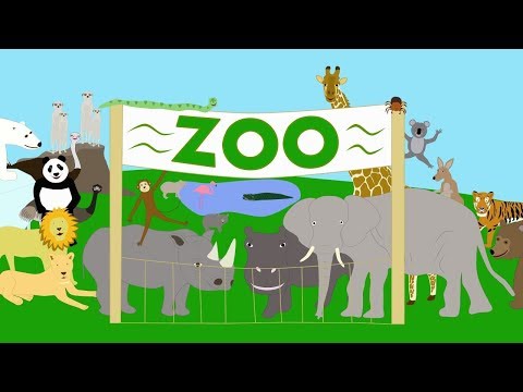 Chicago Lincoln Park Zoo, A Free Zoo in Chicago, I Cruise The East Side of Chicago One Sunday!