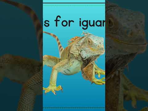 ABC Phonics Song: Fun Alphabet Sounds & Rhyming Words for Early Learning"|| A For Apple 🍎| iguana