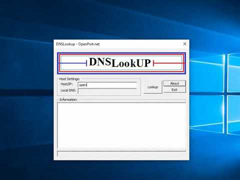 DNS Lookup Tool