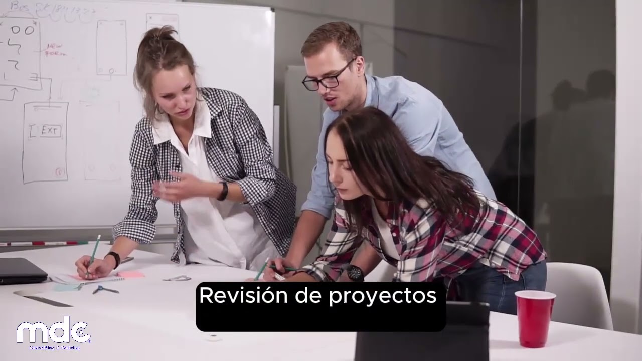 mdc Consulting & Training