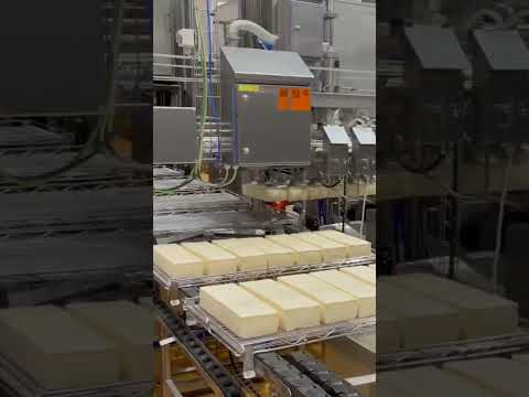 Cheese processing | Mozzarella cheese, cheddar cheese processing and packaging #cheese #cheeselover
