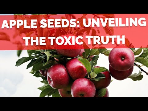 Apple Seeds: Unveiling the Toxic Truth