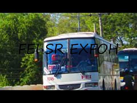 How to pronounce FEI SR EXFOH in Chinese?
