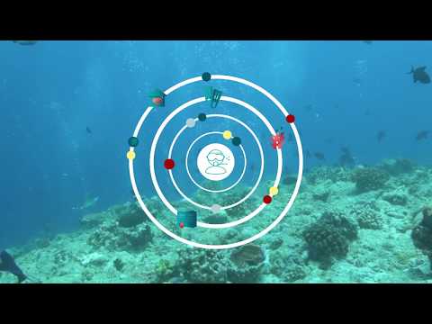 Join the digital solution for the diving world