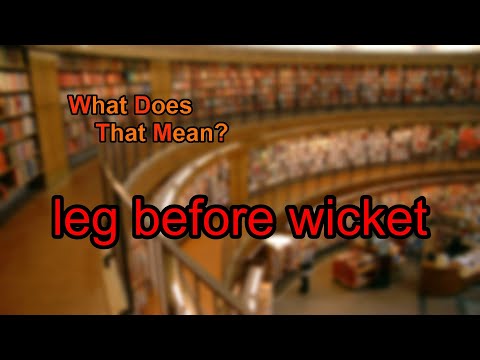 What does leg before wicket mean?