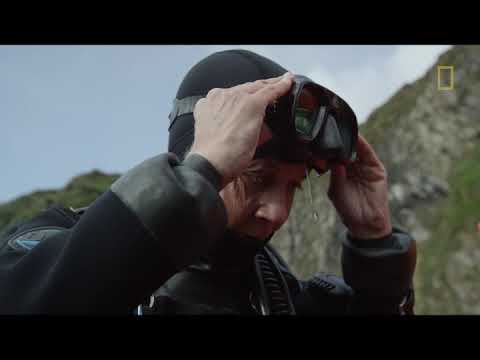 Women in Ocean Science for Marine #WorldHeritage: Jenn Caselle (Gough & Inaccessible Islands, UK)