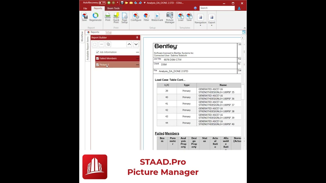 Picture Manager #STAAD.Pro #shorts #tipsandtricks