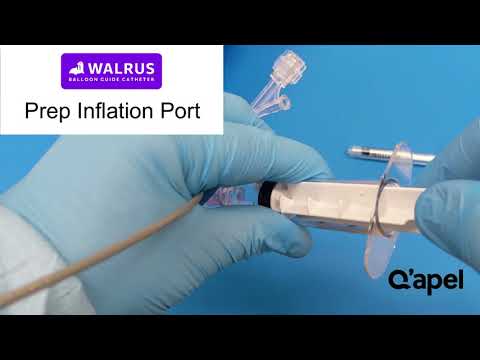 MKT00649 A Walrus Prep Video, Part 2 & 3