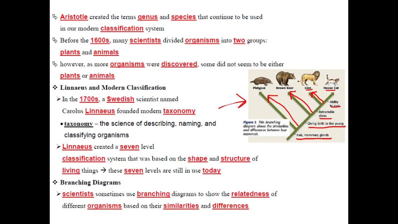 Unit 7 - Classification Notes - Pages 7-1 to 7-2