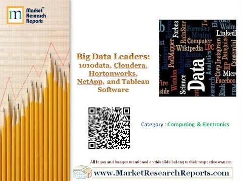 Big Data Leaders: 1010data, Cloudera, Hortonworks, NetApp, and Tableau Software