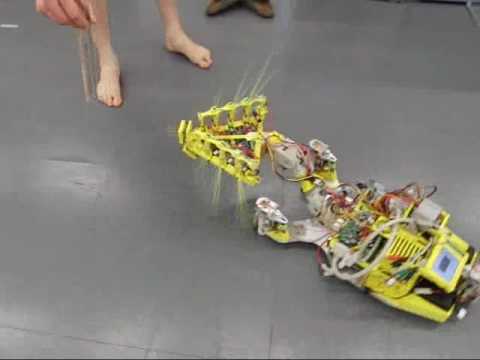 RatBot uses whiskers | Bugbot