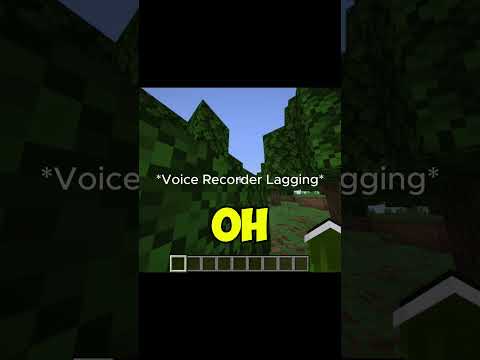 I loaded up Minecraft Java on my potato device with Sodium Mod (Latest 1.21.5) | Shocking results !