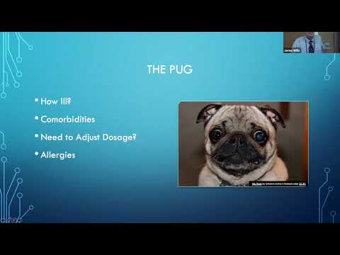 Dr. Gernsheimer - "IDSA Pneumonia Guidelines"
