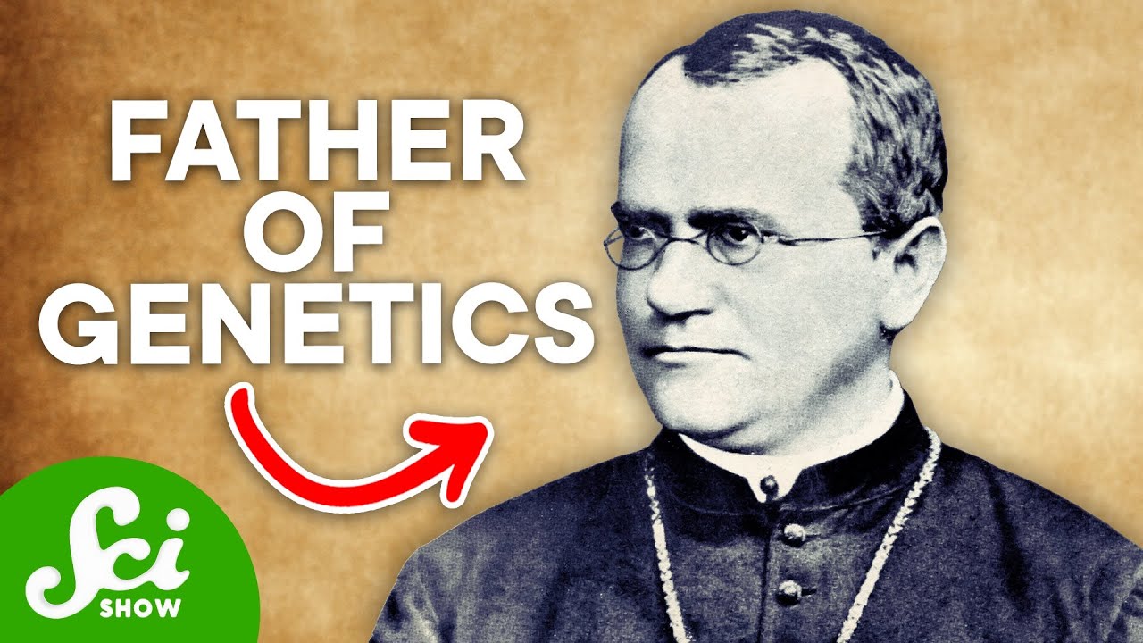The Revolutionary Discoveries of Gregor Mendel: Father of Modern ...