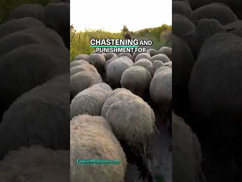 Good Shepherd: God's Sacrifice Explained