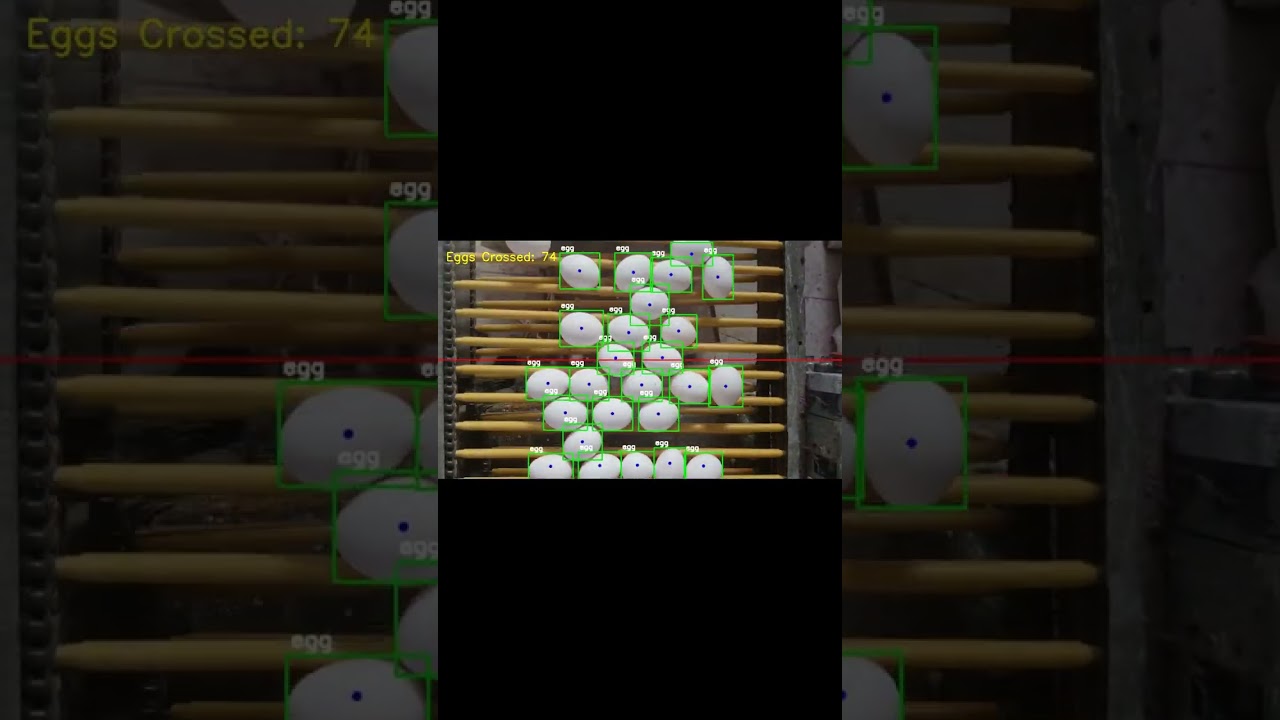Real Time Egg Counting with computer vision