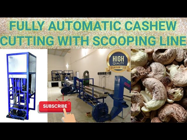 Automatic Cashew Shelling Machine - Cashew Shelling Machine ...