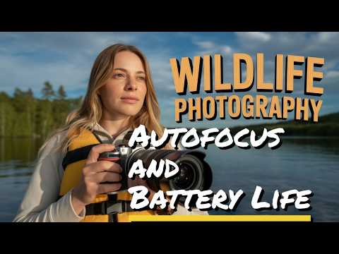 Nikon Z50 II: Great camera (with samples) (1784)