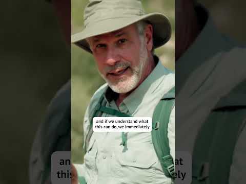 Sling: How David Defeated Goliath (from The Holy Land with Dr. Jack Beck)