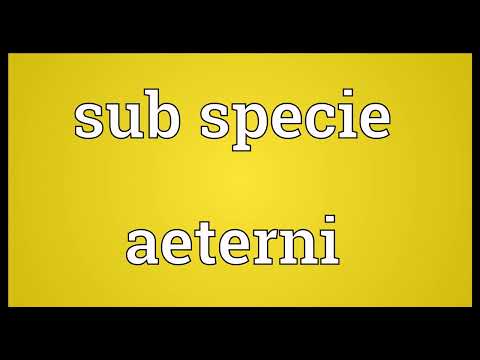 Sub specie aeterni Meaning
