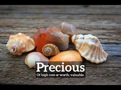 What is Precious? | How Does Precious Look? | How to Say Precious in English?